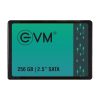 Buy Online EVM 256GB 2.5 Inch SATA SSD EVM25/256GB in India at Best Price