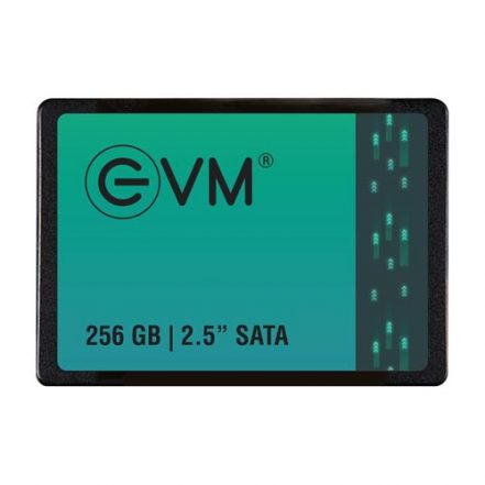 Buy Online EVM 256GB 2.5 Inch SATA SSD EVM25/256GB in India at Best Price
