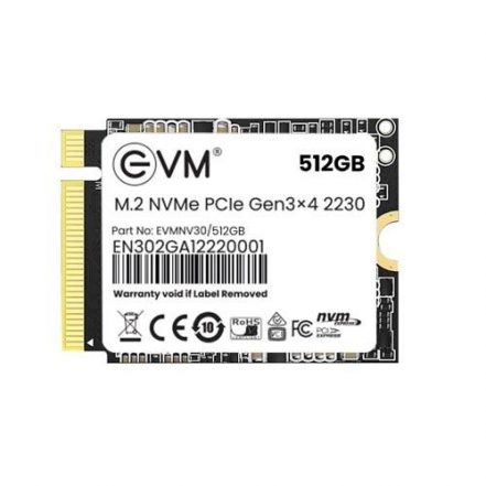 Buy Online EVM 512GB 2230 NVMe SSD EVMNV30/512GB in India at Best Price